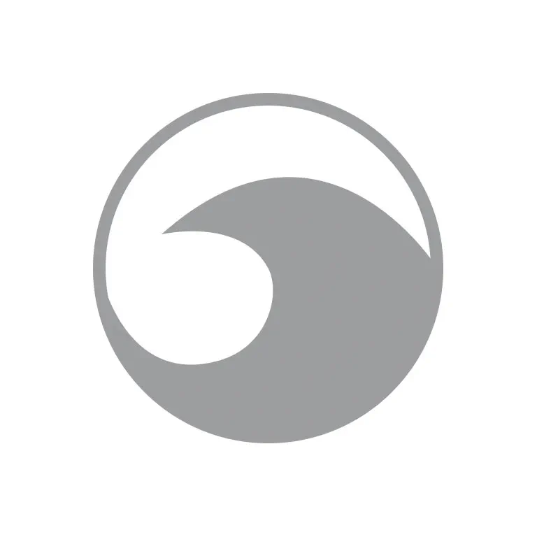 Tinnitus Therapies with ocean wave therapy signals and notch therapy ...