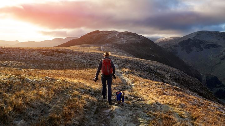 Measuring steps at the ear: How My Steps improves accuracy | Signia Pro